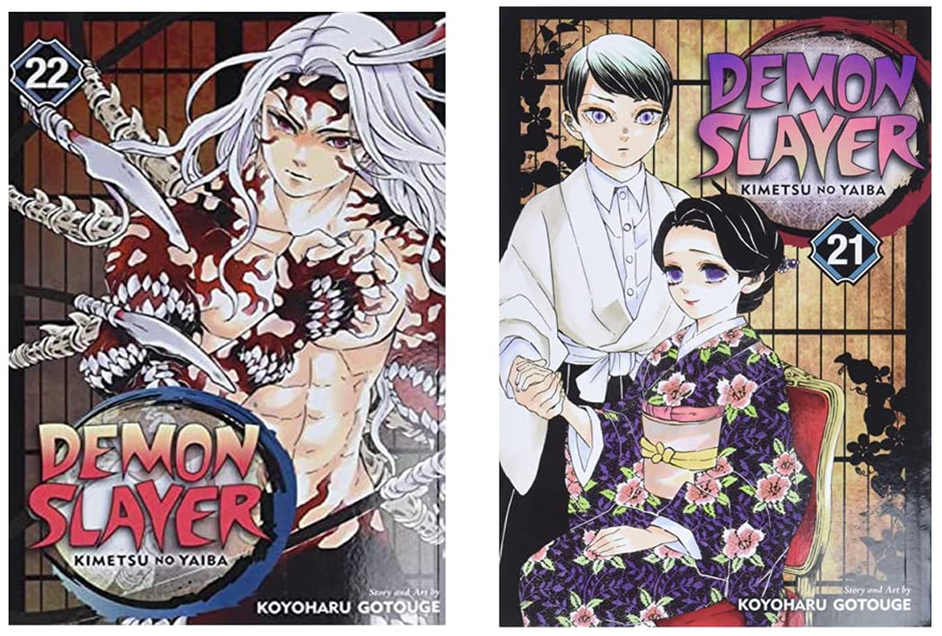Demon Slayer: Kimetsu no Yaiba, Vol. 22 (Volume 22) & Demon Slayer ...