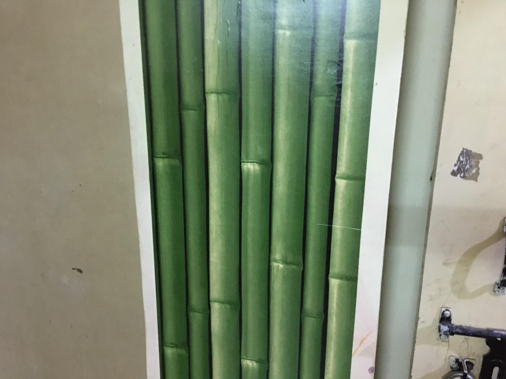 Jaamso Royals PVC DIY Beauty of Bamboo Green Wallpaper, Ocean : Amazon ...
