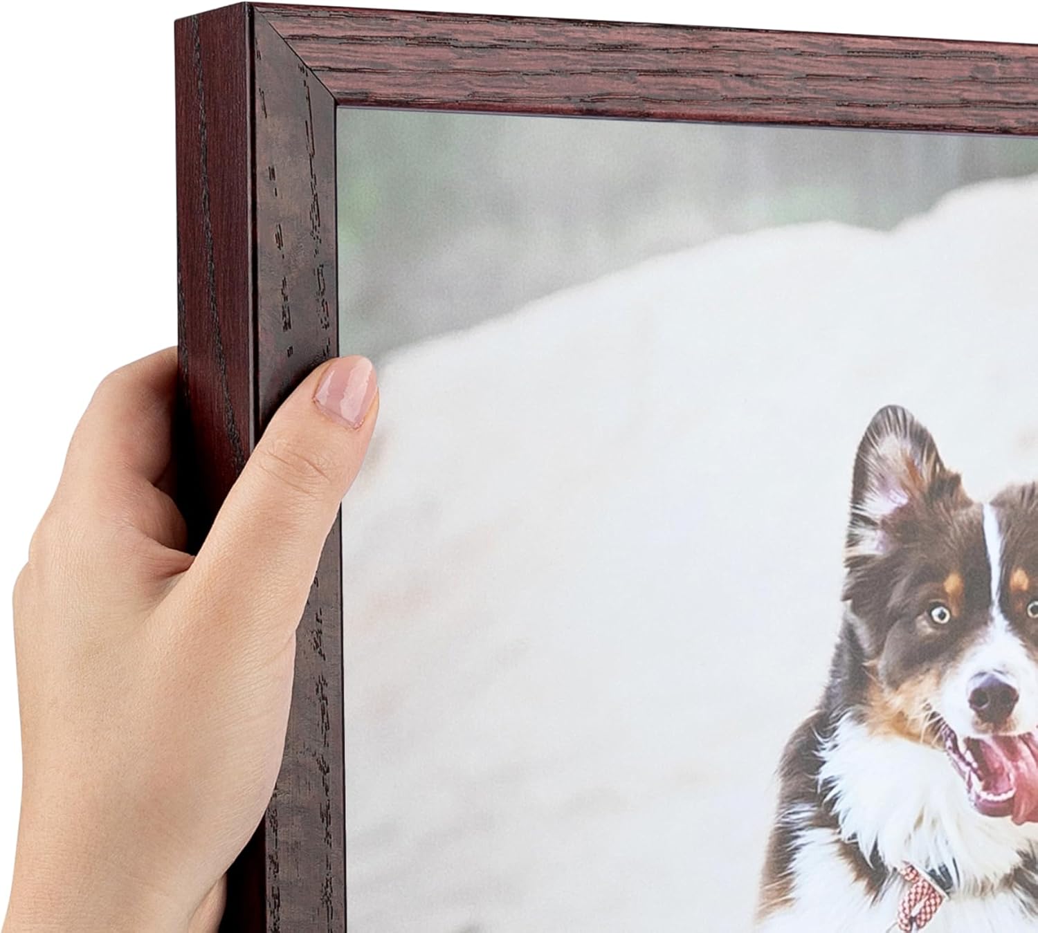 Amazon.com - ArtToFrames 21x28 inch Cherry Stain on Red Oak Wood ...