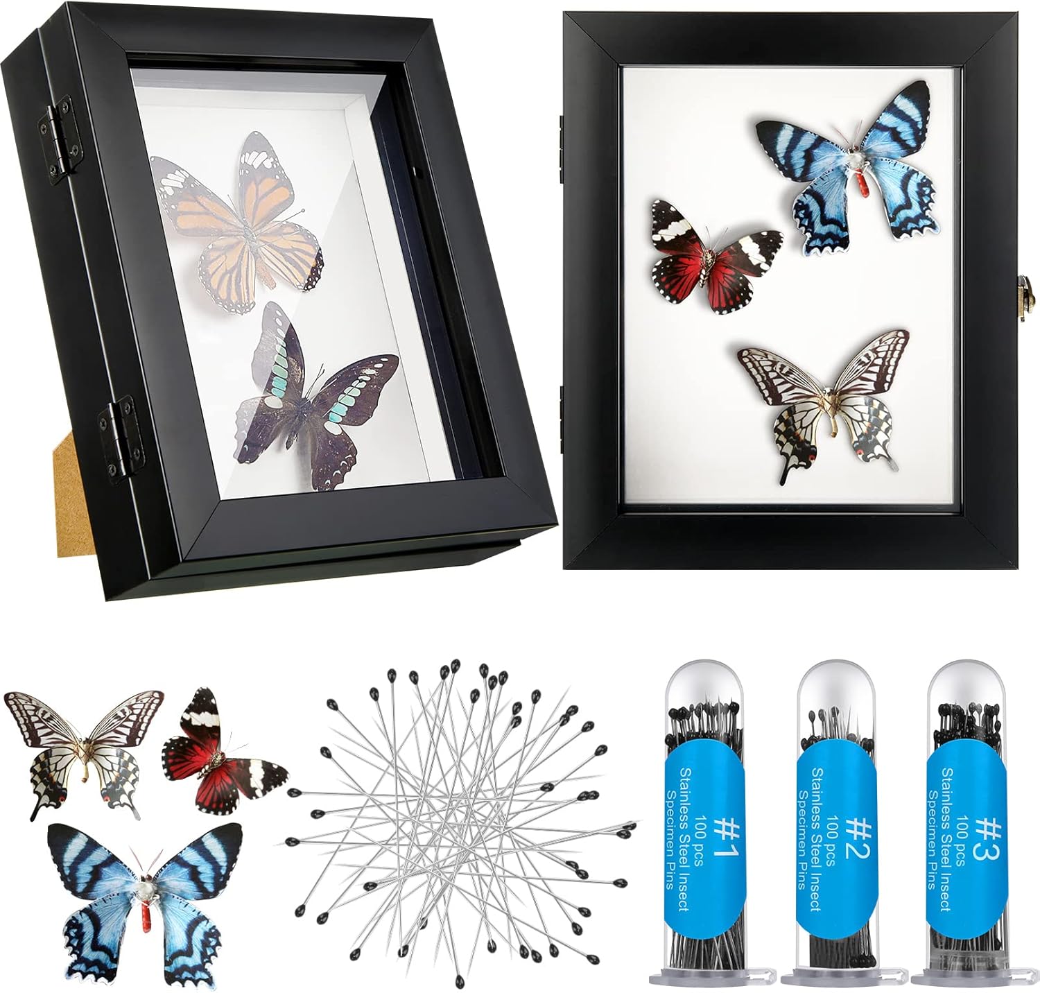 2 Pcs Insect Display Case Collection Shadow Boxes With Clear Top EVA Foam Pinning Board and 300 ...