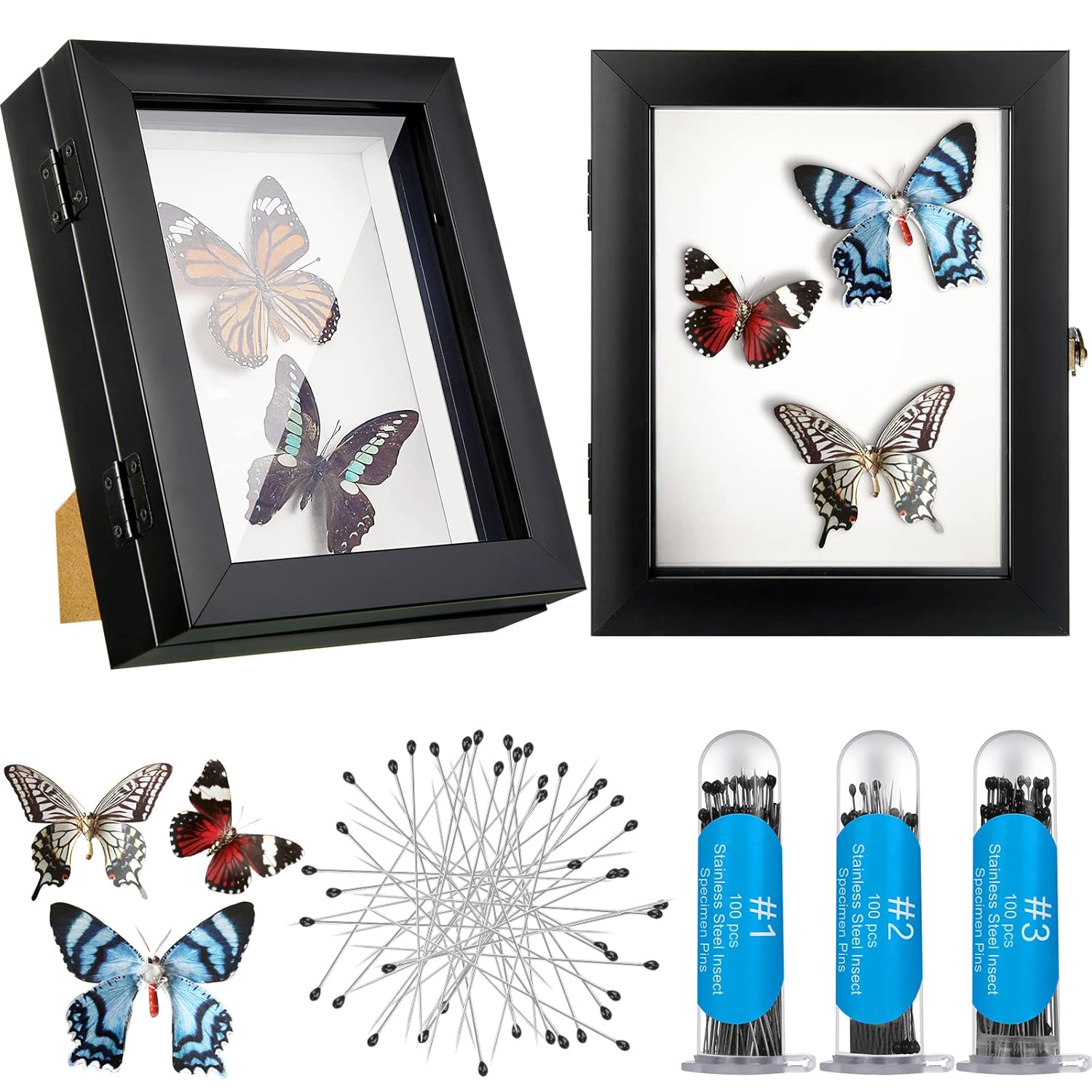 2 Pcs Insect Display Case Collection Shadow Boxes Butterfly Box with ...