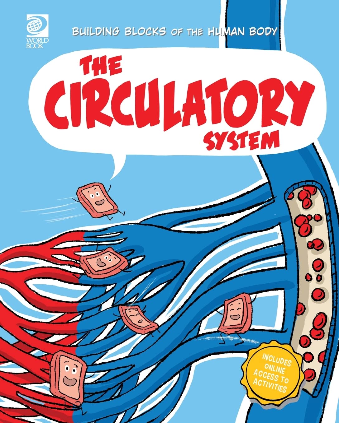 The Circulatory System (Building Blocks of the Human Body) : Midthun ...