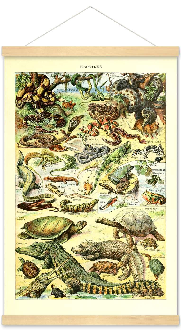 Amazon.com: Meishe Art Retro Vintage Poster Print Wall Art Decor ...