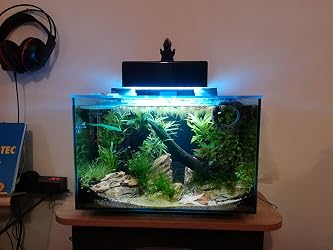 Aqua One PLATFORM 21 Aquarium Fish Tank 40cm 21L : Amazon.co.uk: Pet ...