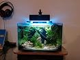 Aqua One PLATFORM 21 Aquarium Fish Tank 40cm 21L : Amazon.co.uk: Pet ...