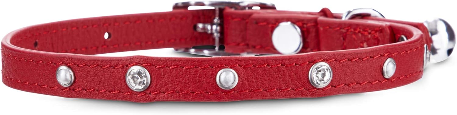 Amazon.com : Petco Brand - Bond & Co. Bejeweled Red Leather with Safety ...