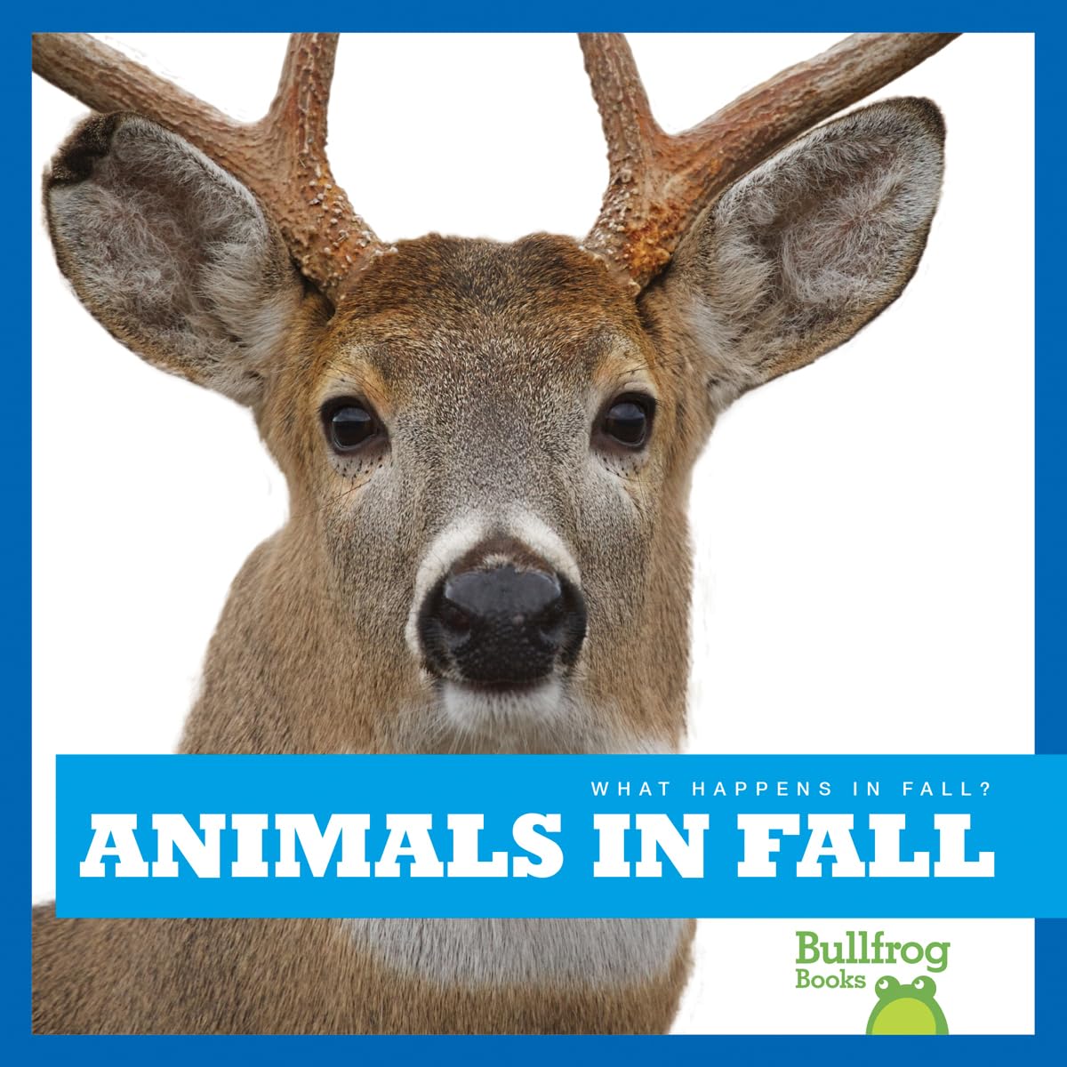 Amazon.com: Animals in Fall (Bullfrog Books: What Happens in Fall ...