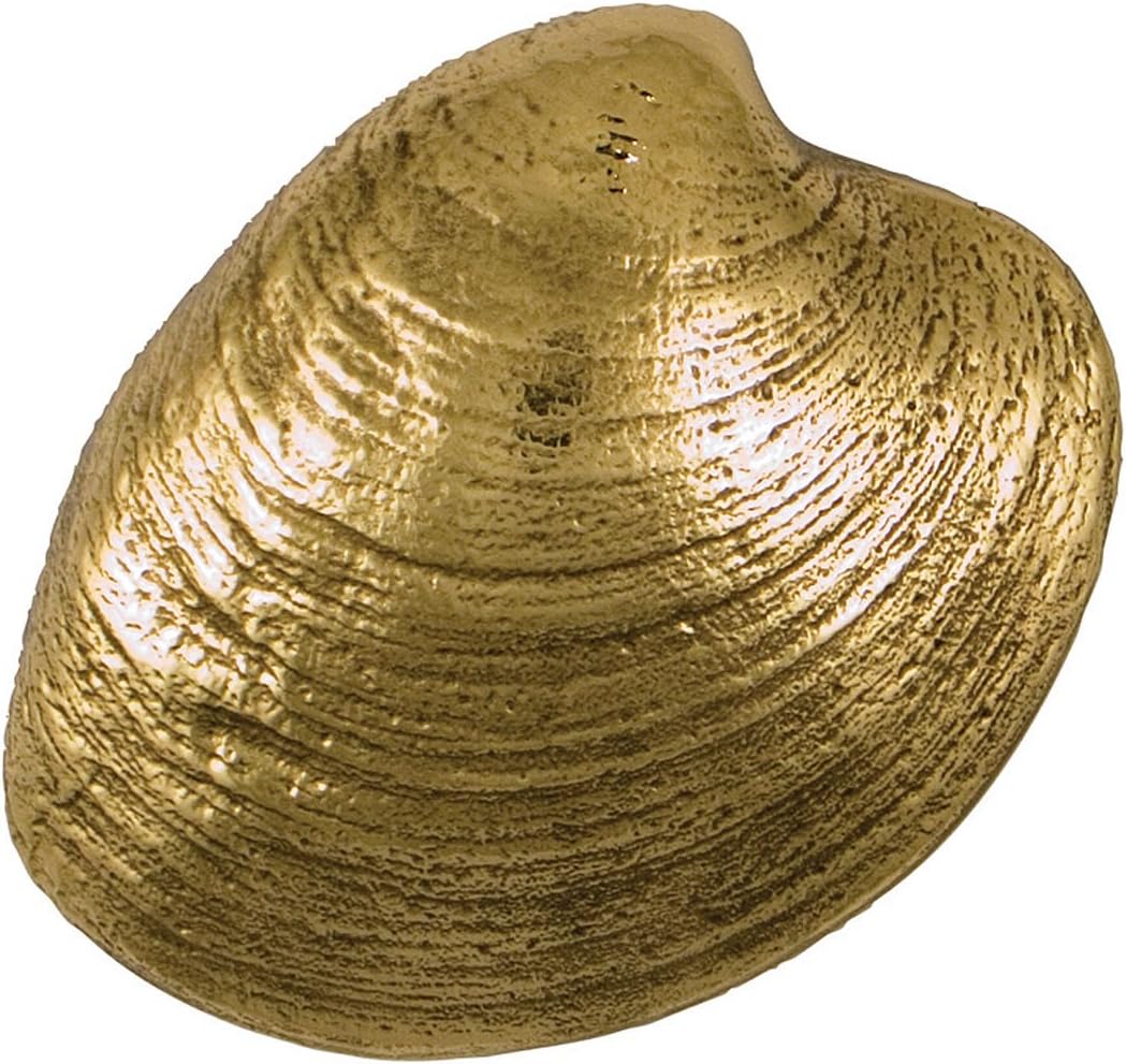 Amazon.com: DOOR KNOCKERS - CLAM SHELL DOOR KNOCKER - BRASS - NAUTICAL ...