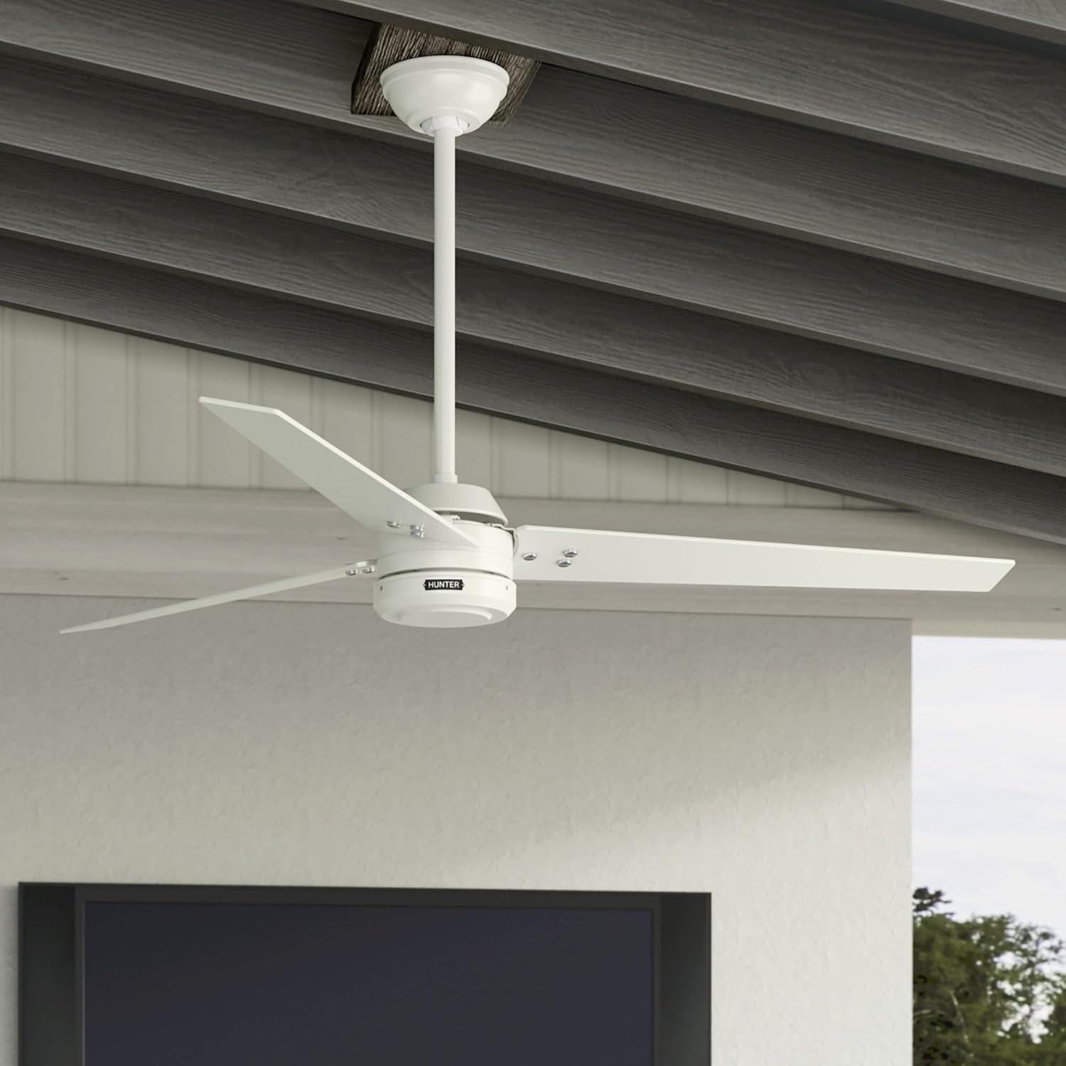 Amazon.com: Hunter - Cassius Indoor/Outdoor Ceiling Fan, Wall Control ...