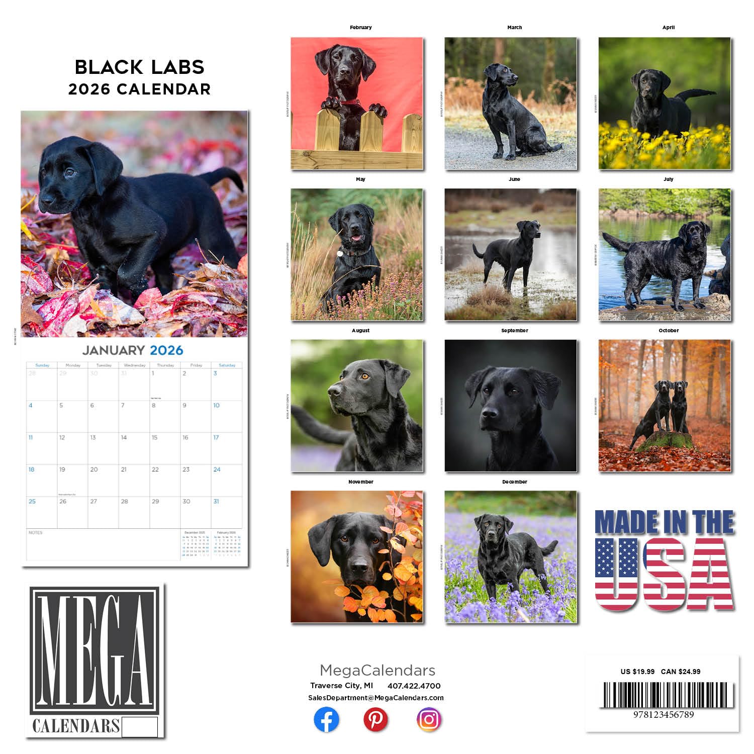 Snapklik.com : 2026 Black Labrador Calendar - Dog Breed Wall Calendar ...
