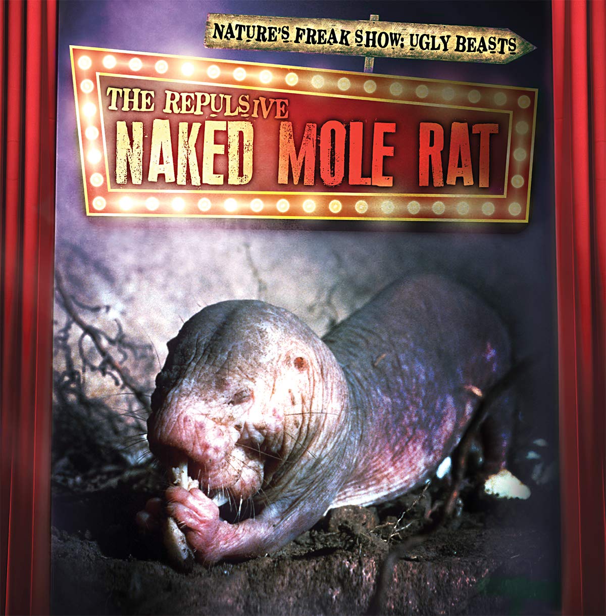 The Repulsive Naked Mole Rat (Nature's Freak Show: Ugly Beasts): Levy ...