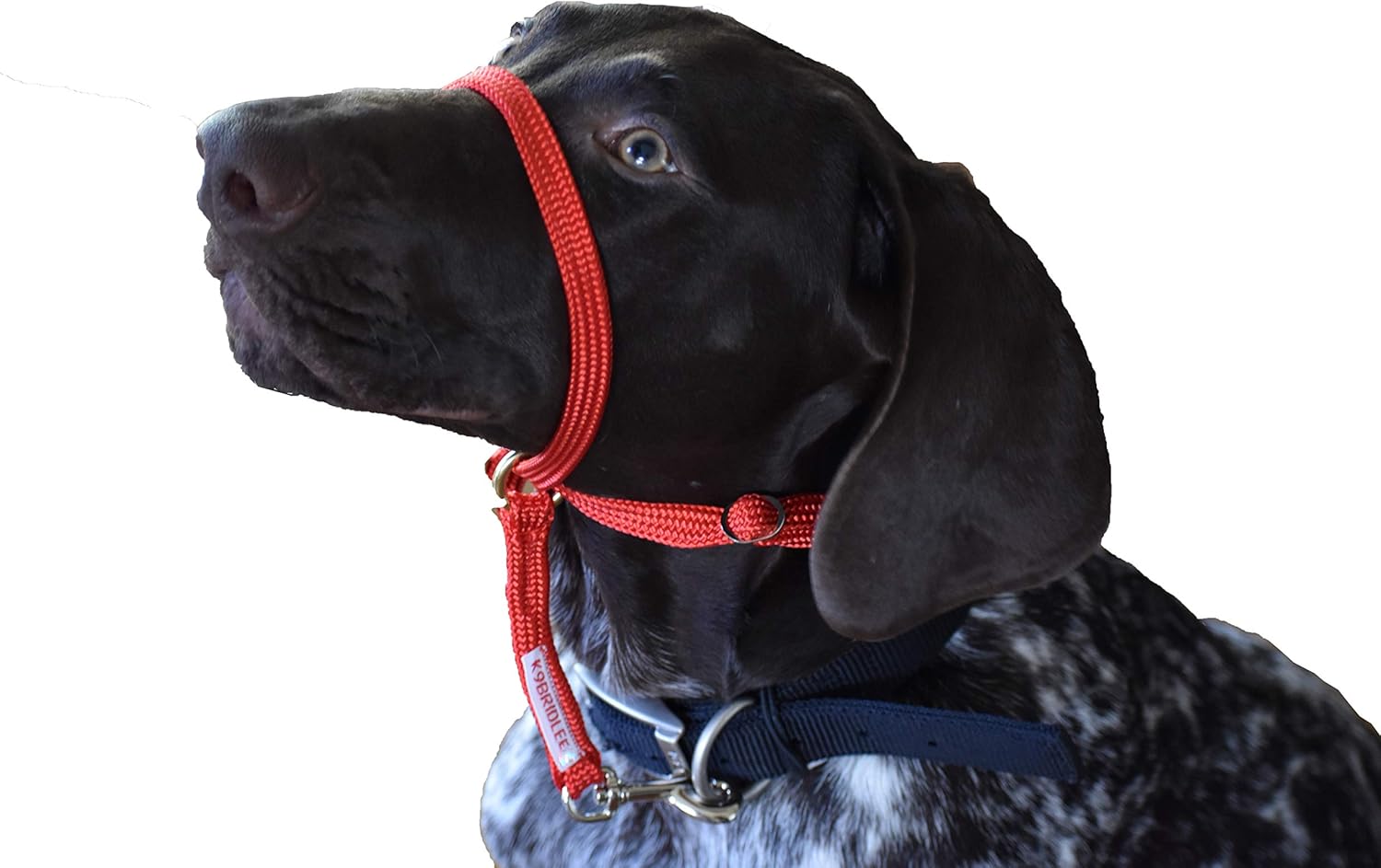 K9 Bridle - to stop your dog pulling (Medium, Red) : Amazon.co.uk: Pet ...
