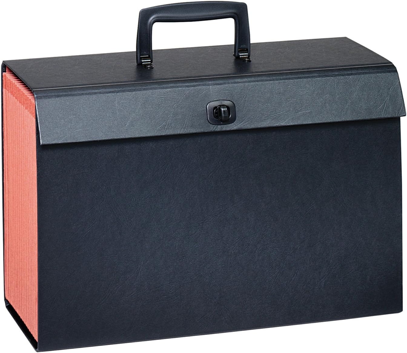 Pendaflex File Organizer, Second Nature Expanding Files, 19 Pockets ...