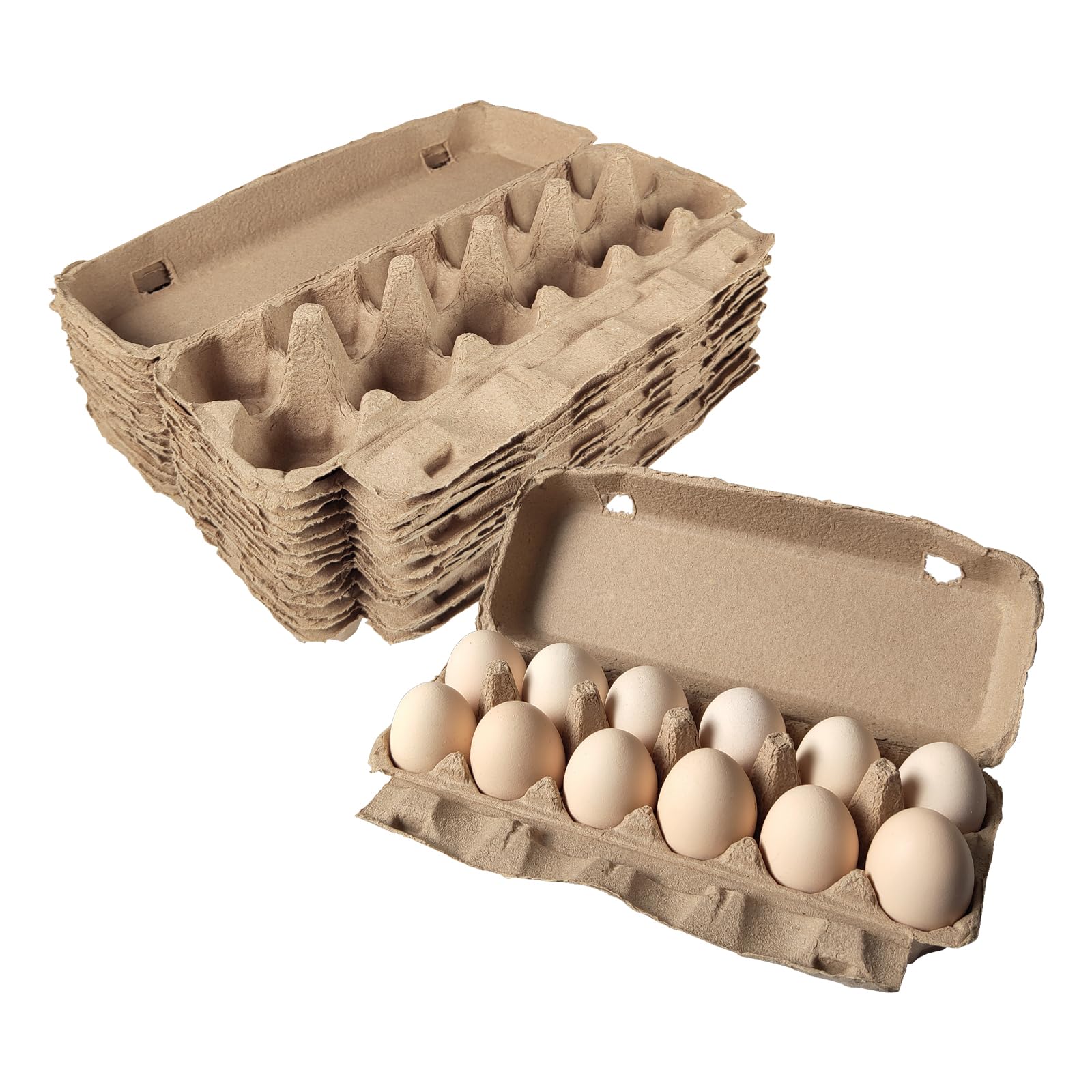 Amazon.com: 15 Pack Egg Carton Natural Fiber Egg Carrier 12 Pulp Egg ...