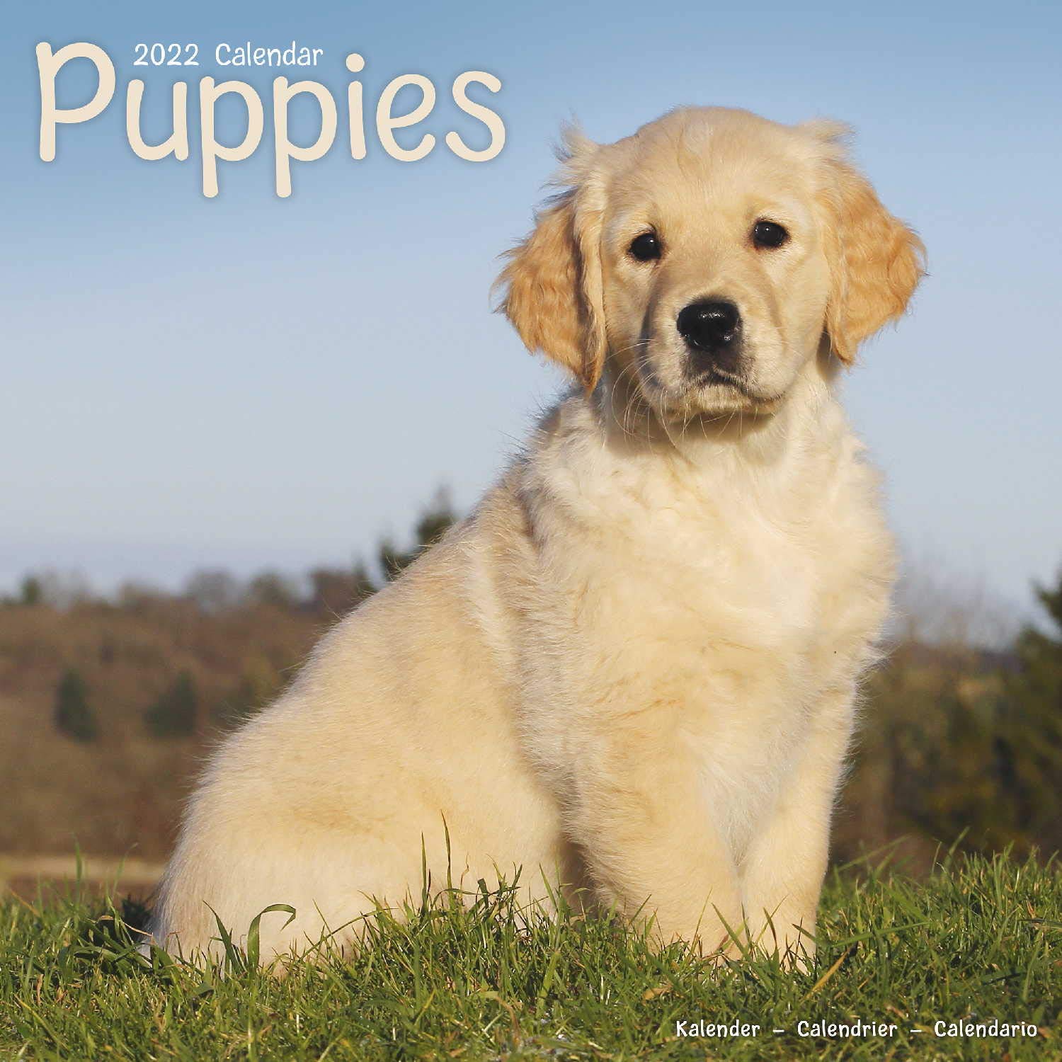 Puppies Calendar - Cute Animals Calendar - Dog Breed Calendars - Dog ...