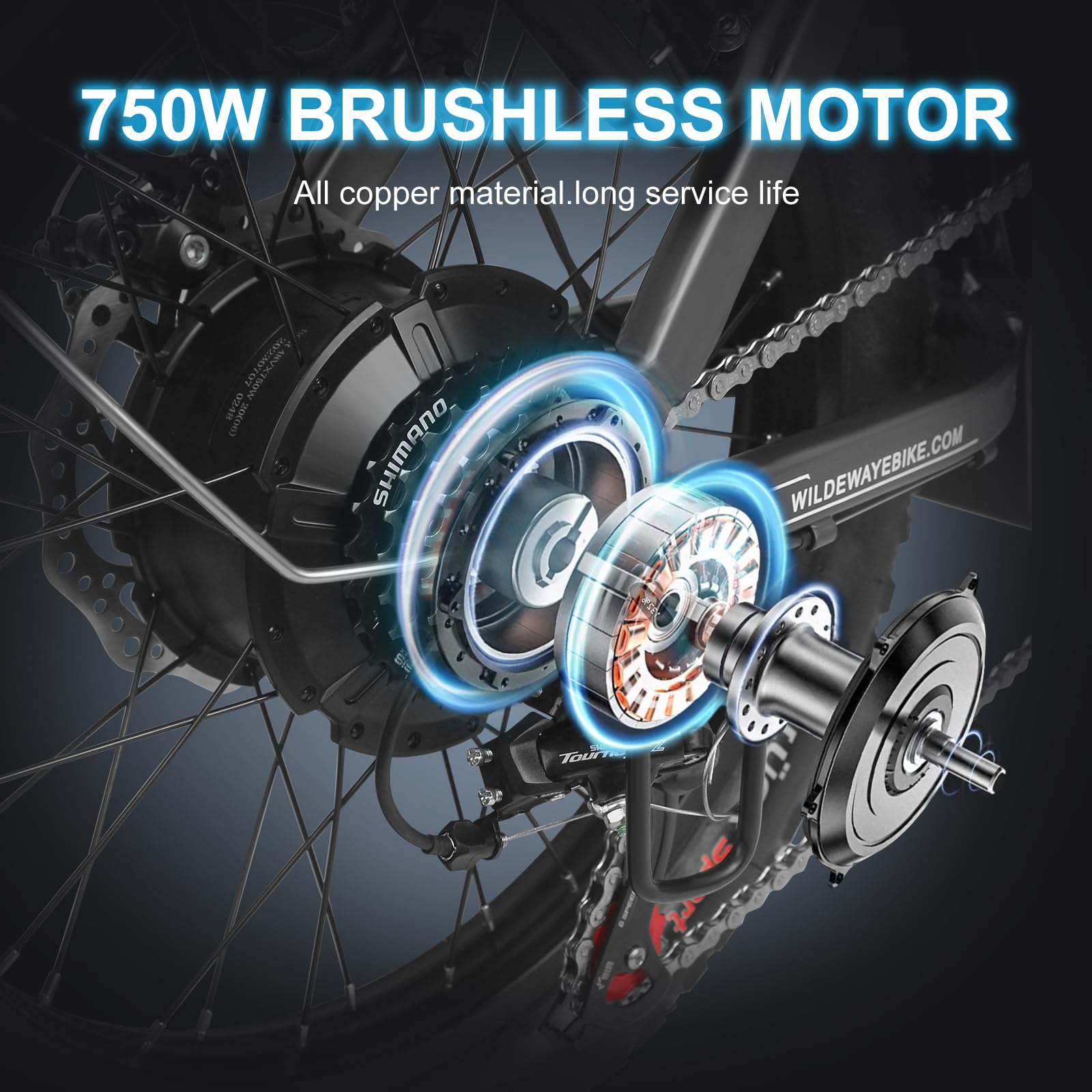 Wildeway Electric Bike 48V 32AH High-Capacity Removable Battery ...