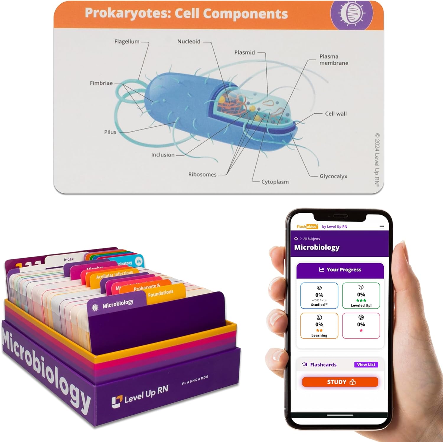 Amazon.com: Microbiology Flash Cards – No Fluff – Nursing School ...