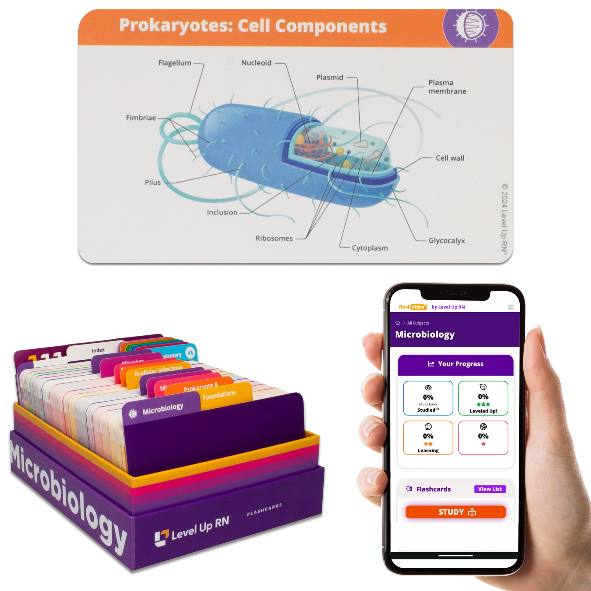 Snapklik.com : Microbiology Flash Cards No Fluff Nursing School ...