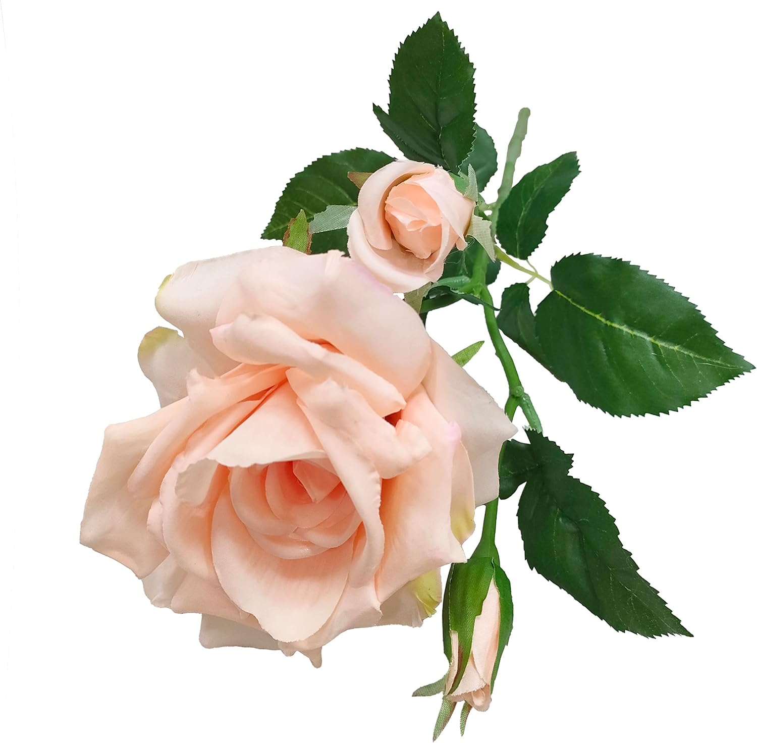 Amazon.com: ATFL 4 Pcs Fake Silk Real Touch Champagne Colored Roses ...