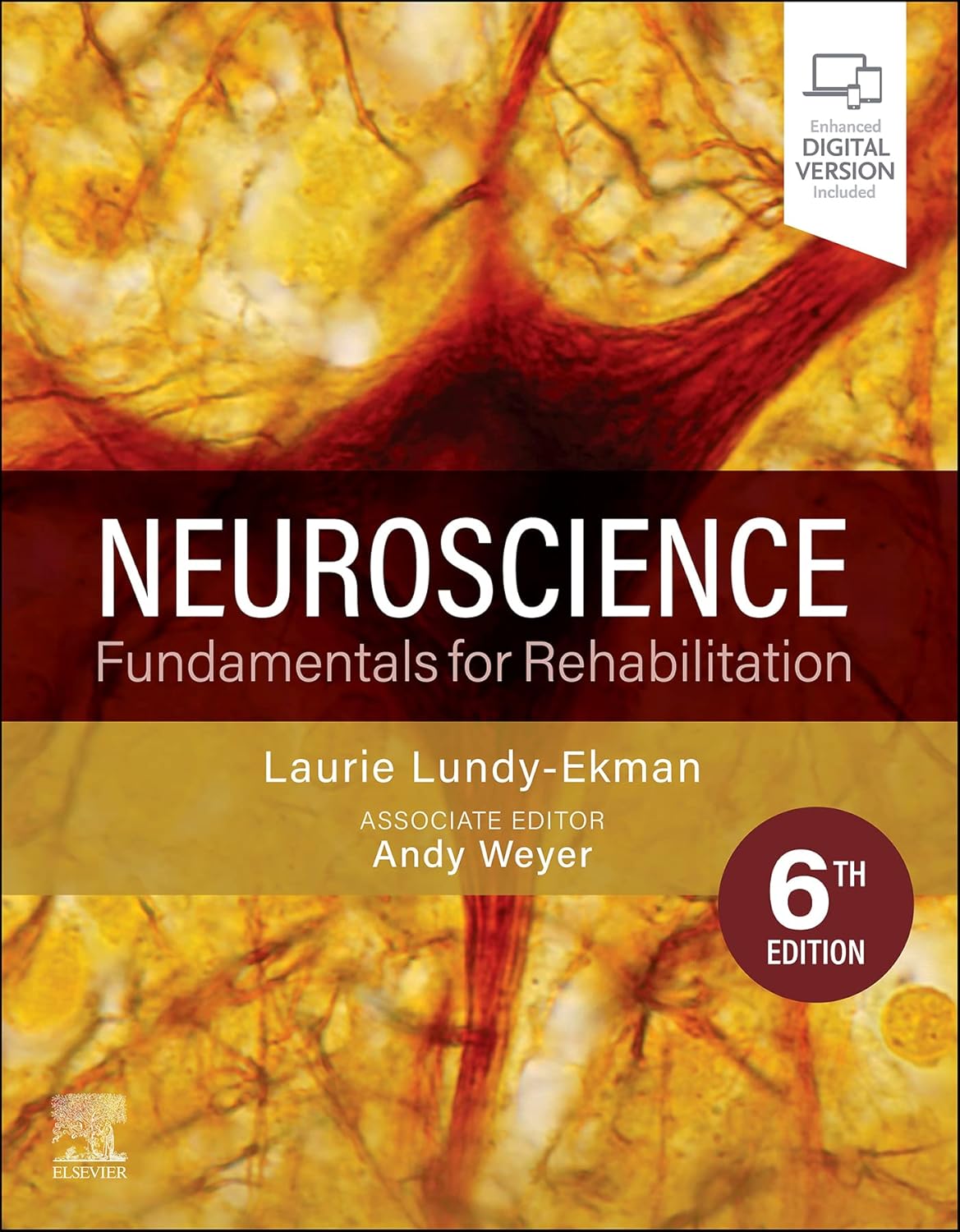 Amazon.com: Neuroscience - E-Book eBook : Lundy-Ekman PhD, PT, Laurie ...
