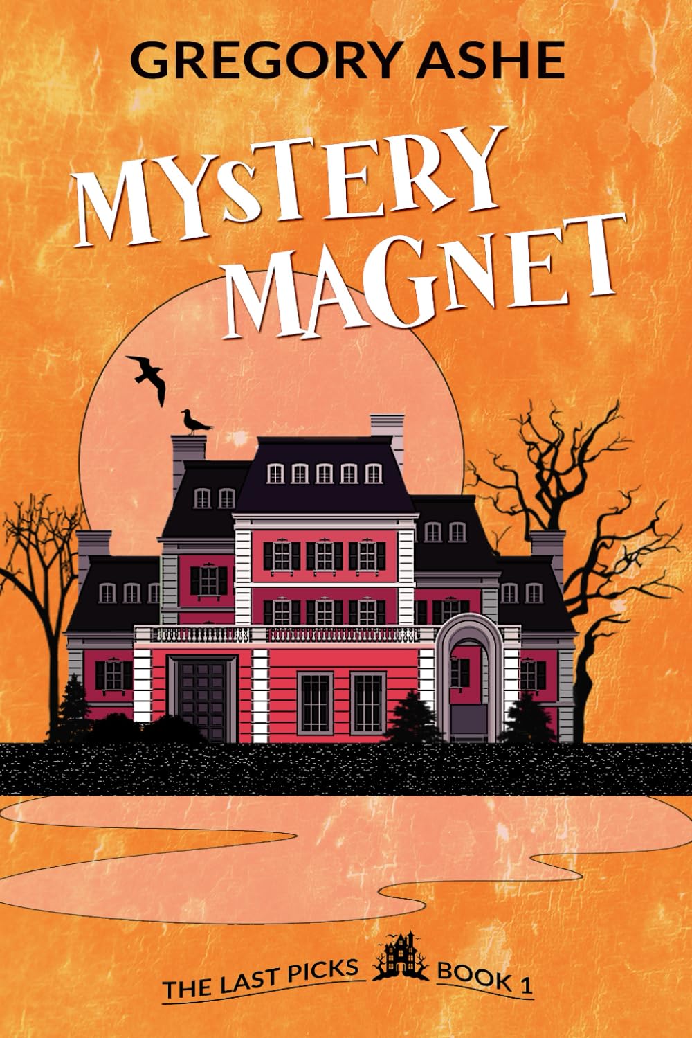 Mystery Magnet (The Last Picks): Ashe, Gregory: 9781636210803: Amazon ...