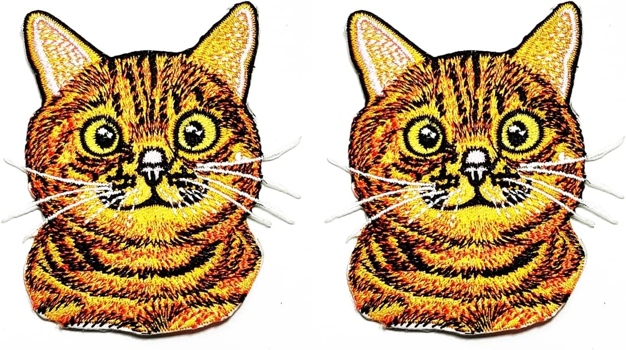 Amazon.com: Rareeasy Patch Set 2 Pcs. Scottish fold Cute pet cat ...