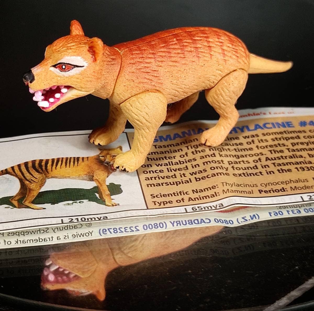 Amazon.co.jp: YOWiE ヤウイ LOST KINGDOMS#48 TASMANIAN THYLACINE/フクロオオカミ 検 ...