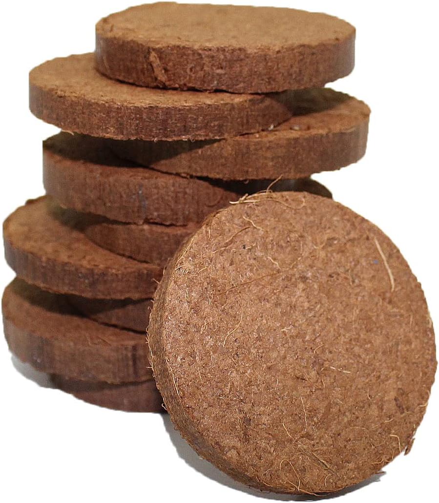Amazon.com : Coco Coir Seed Starter Pellets : 40 Coconut Coir Plugs for ...