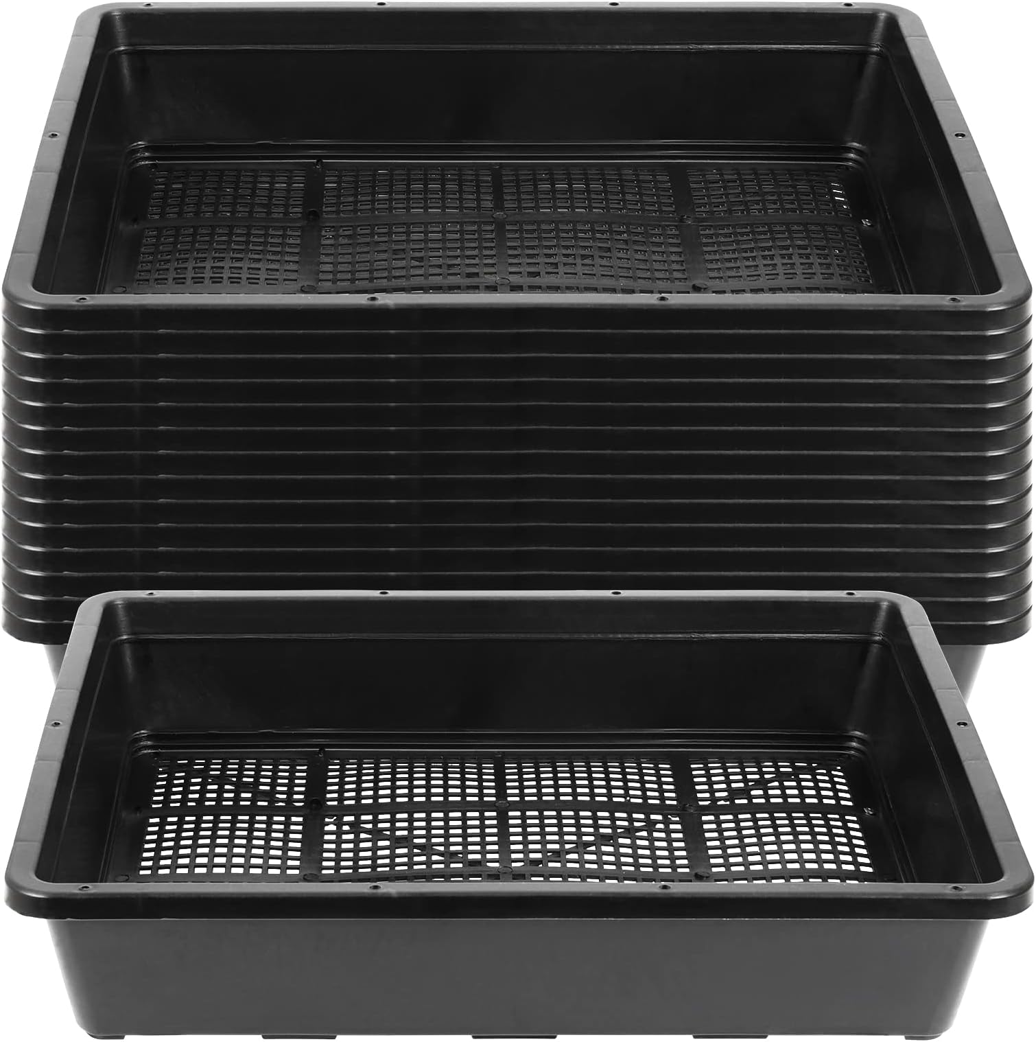 Amazon.com : KEILEOHO 12 Pack 15 x 12 Inches Seed Starter Trays ...