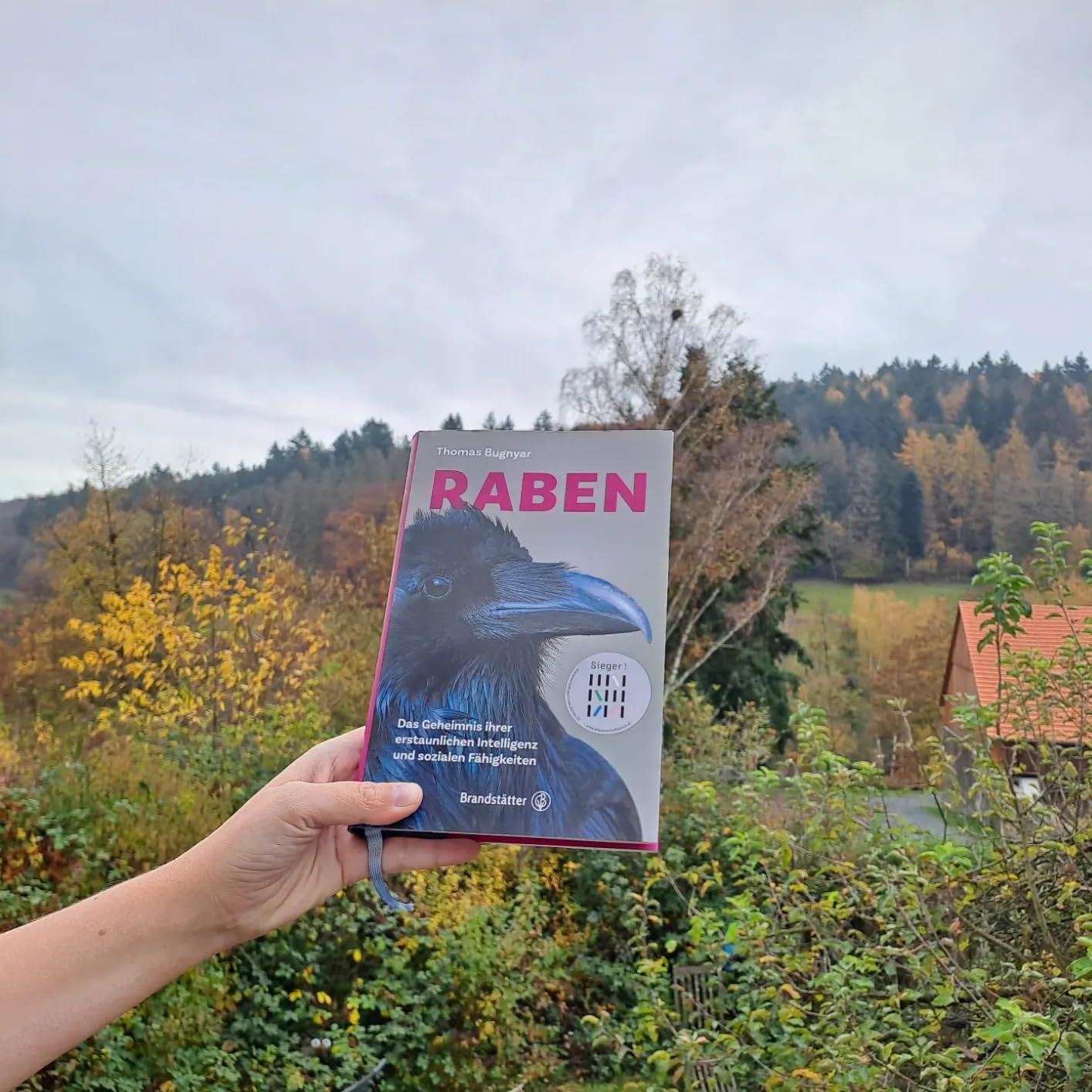 Raben: Das Geheimnis ihrer erstaunlichen Intelligenz und sozialen ...