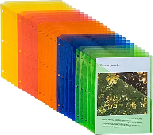 Amazon.com : Seashell 25 Pack Poly Translucent Slash File Jacket,3 Hole ...