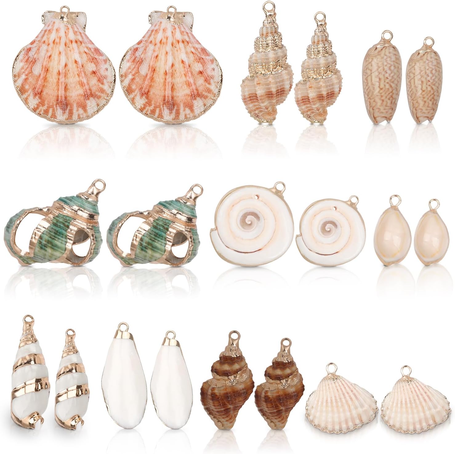 Amazon.com: 20pcs Natural Seashells Beads Summer Ocean Sea Beads White ...