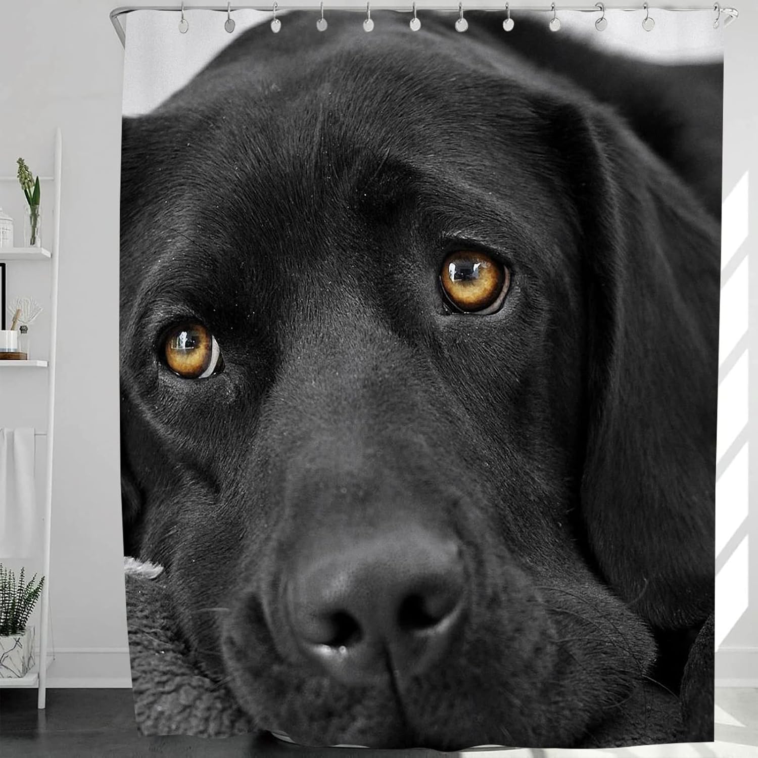 Amazon.com: Abaysto Black Dog Shower Curtain Lab Labrador Retriever Dog ...