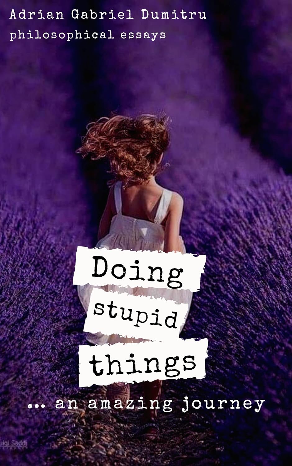 Amazon.com: DOING STUPID THINGS … AN AMAZING JOURNEY: philosophical ...