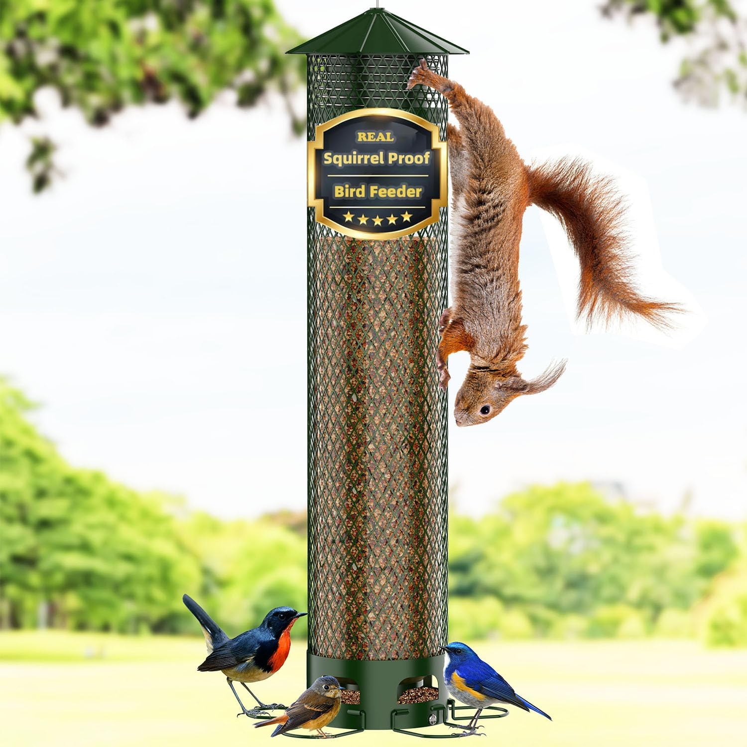 Amazon.com : Audubon Squirrel-Resistant Caged Screen Feeder Model ...