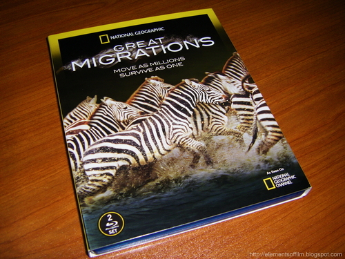 Amazon.com: Great Migrations (3 Dvd+Booklet) [Italian Edition] : Movies ...