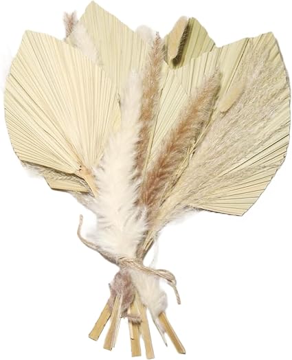 Amazon.com: Dried Palm Leaves – 18 Pcs Gold Palm Leaves Pampas Grass ...
