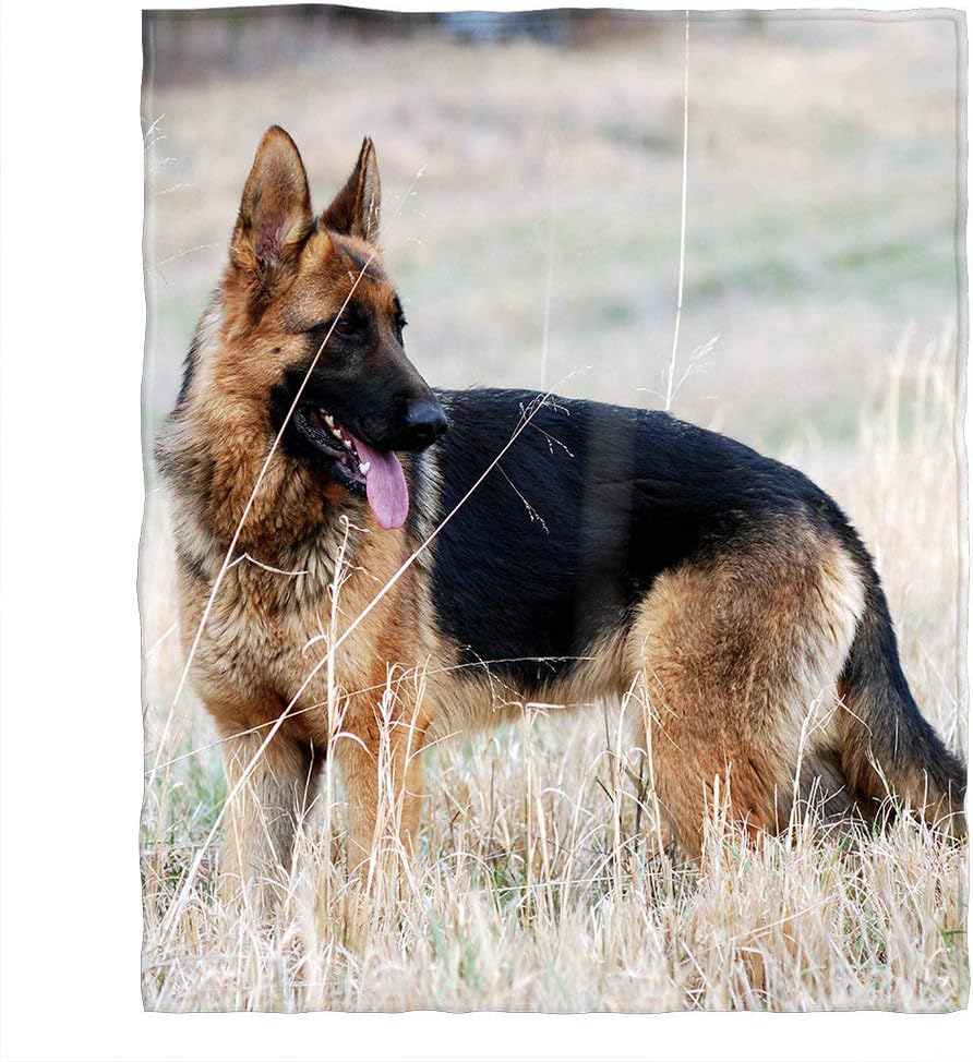 Amazon.com: Moslion Soft Cozy Throw Blanket Strong Pet German Shepherd ...