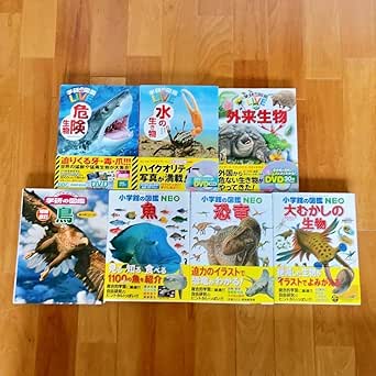 Amazon.co.jp: Shogakukan Encyclopedia NEO Gakken Picture Book LIVE DVD ...