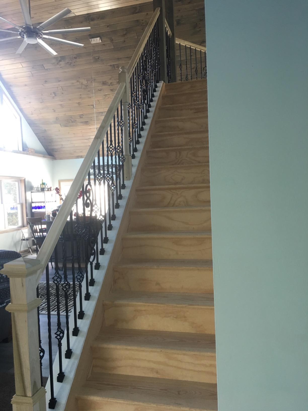 (Pack of 10) 1/2" Rake (Angled) Shoe with Screw Satin Black for Metal ...