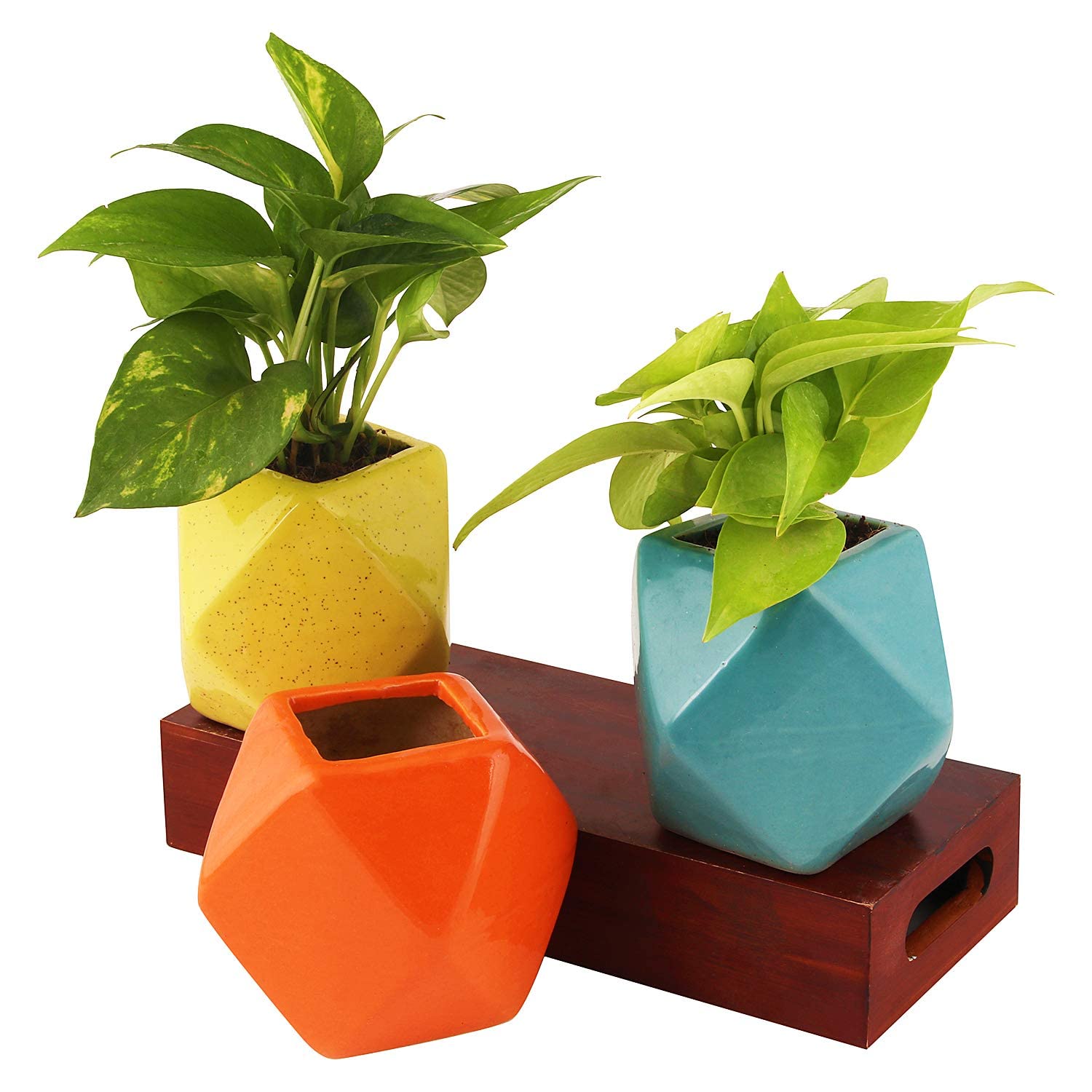 Leafy Tales Polygon Shape Ceramic Pot, Orange, 1 pc (Polygon Orange ...