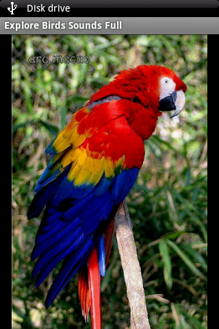 Explore Birds Sounds - App on Amazon Appstore