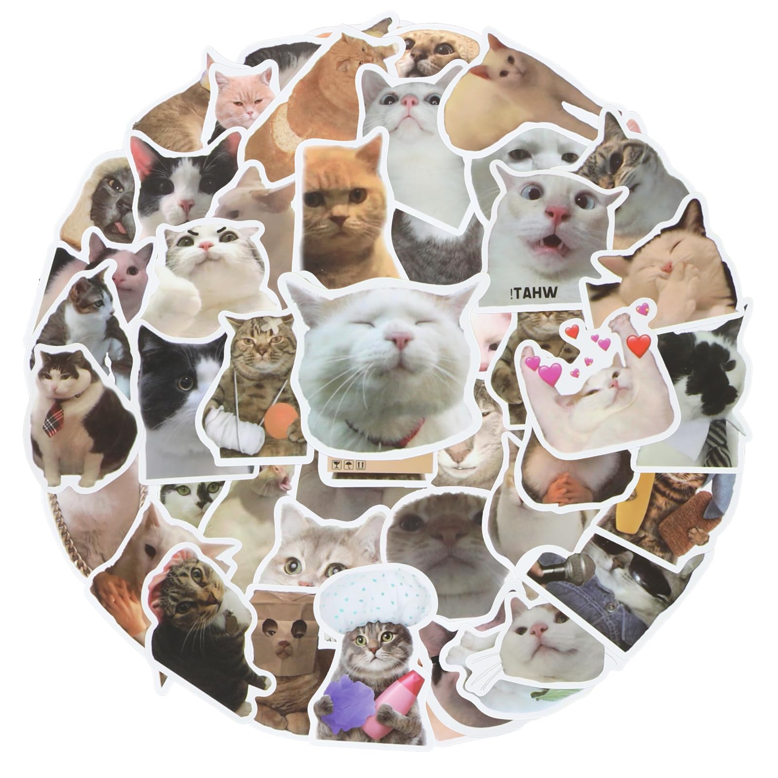 Amaxiu Funny Vinyl Cat Stickers, 50 Pcs Cute Cat Decals Waterproof ...