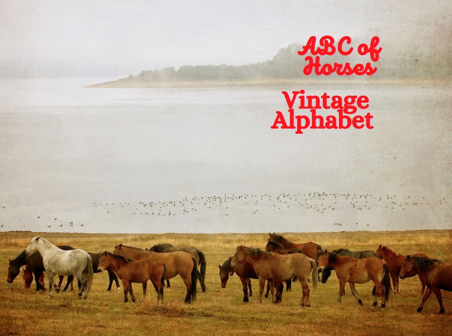 Amazon.com: The ABC of Horses Book: Vintage Alphabet eBook : Page ...