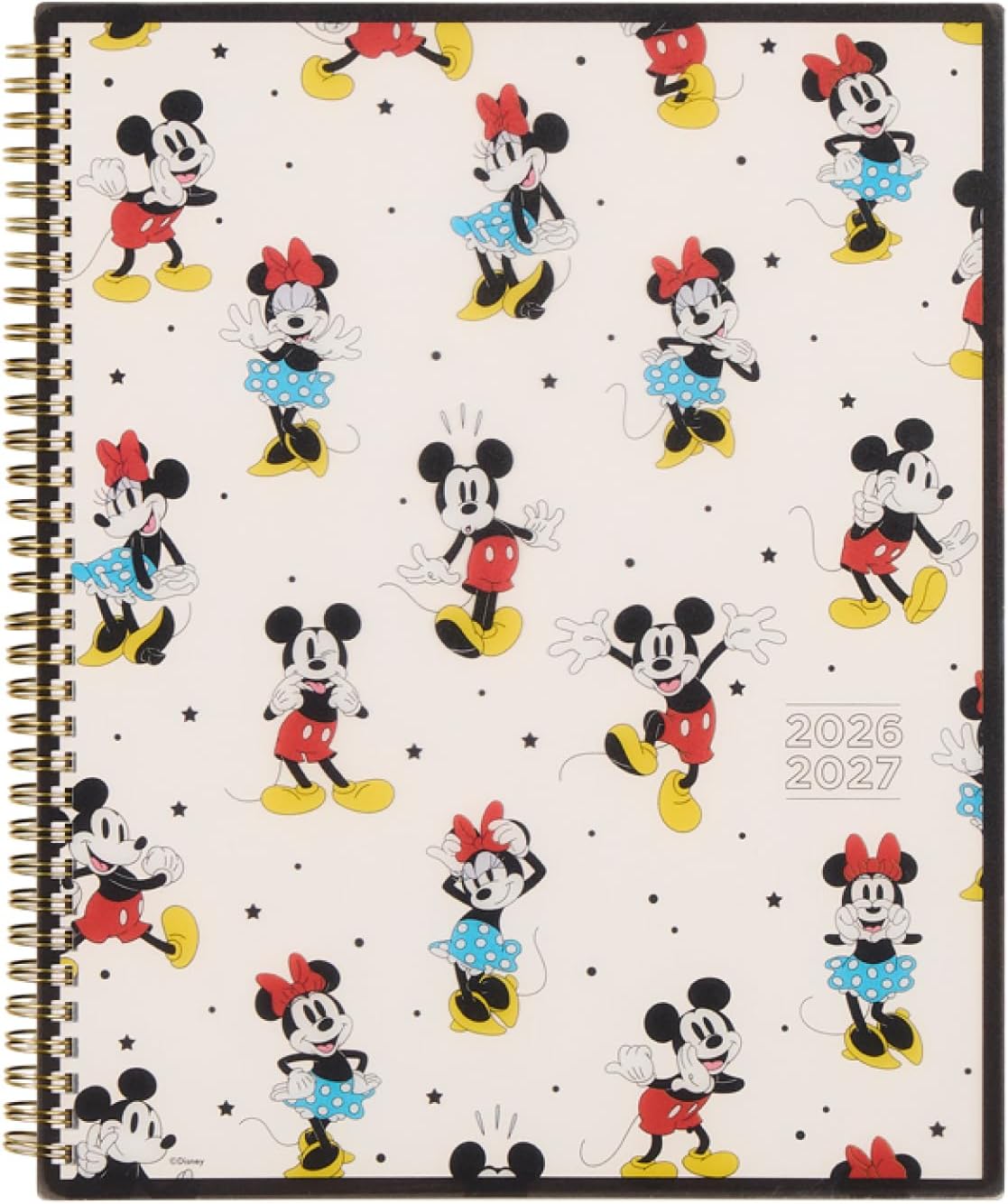Amazon.com : Organized by Happy Planner Disney Dated 12-Month Planner ...