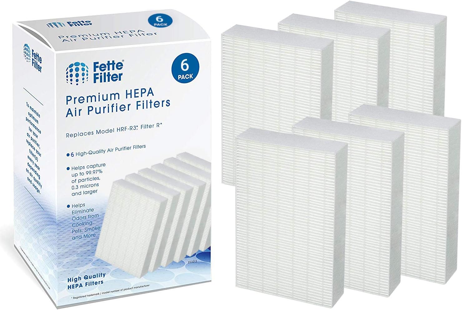 Fette Filter - 6 Pack of PremiumTrue HEPA Filters Compatible with ...