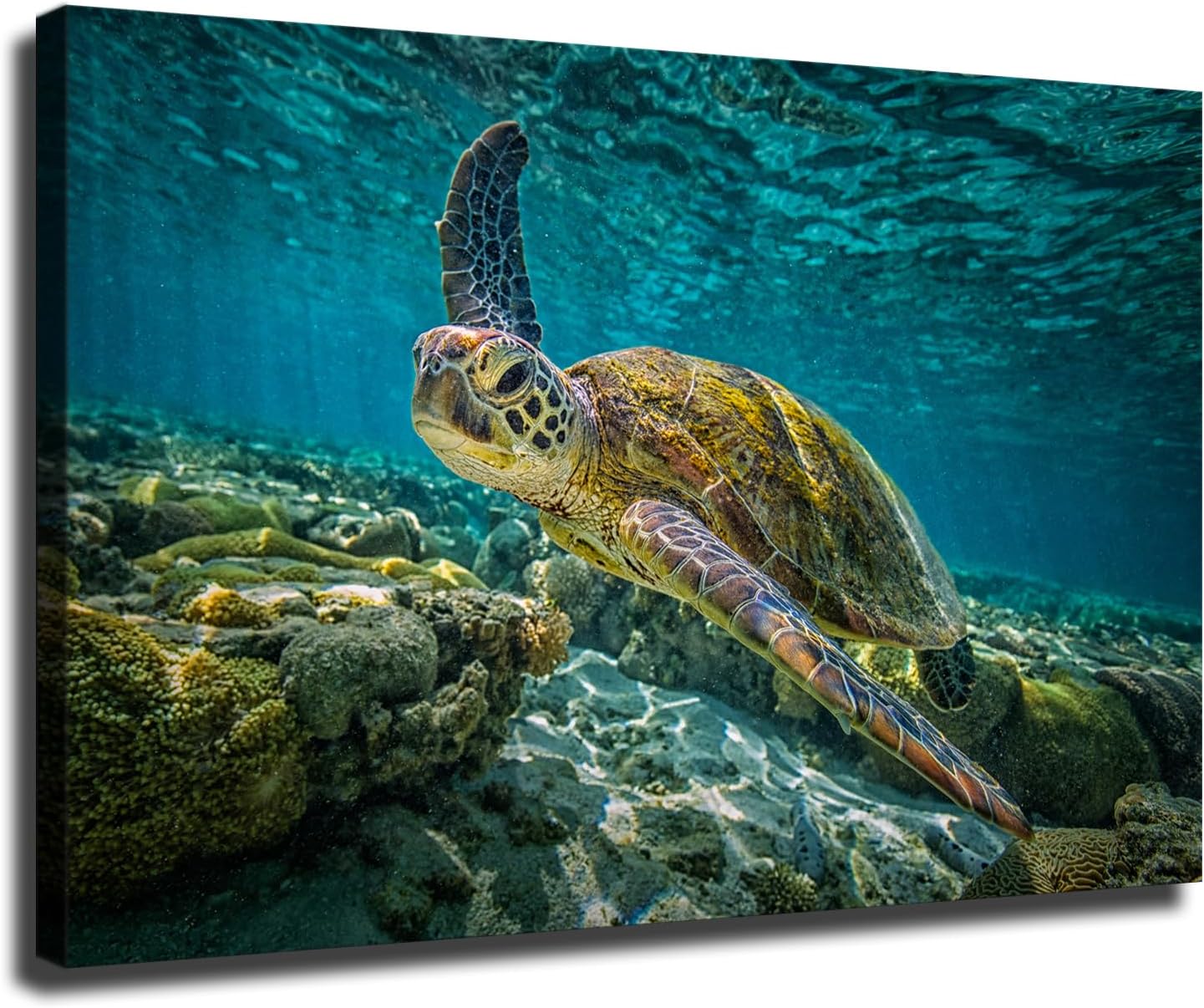 Amazon.com: Sea Turtle In Sea Water Poster Canvas Wall Art Picture ...
