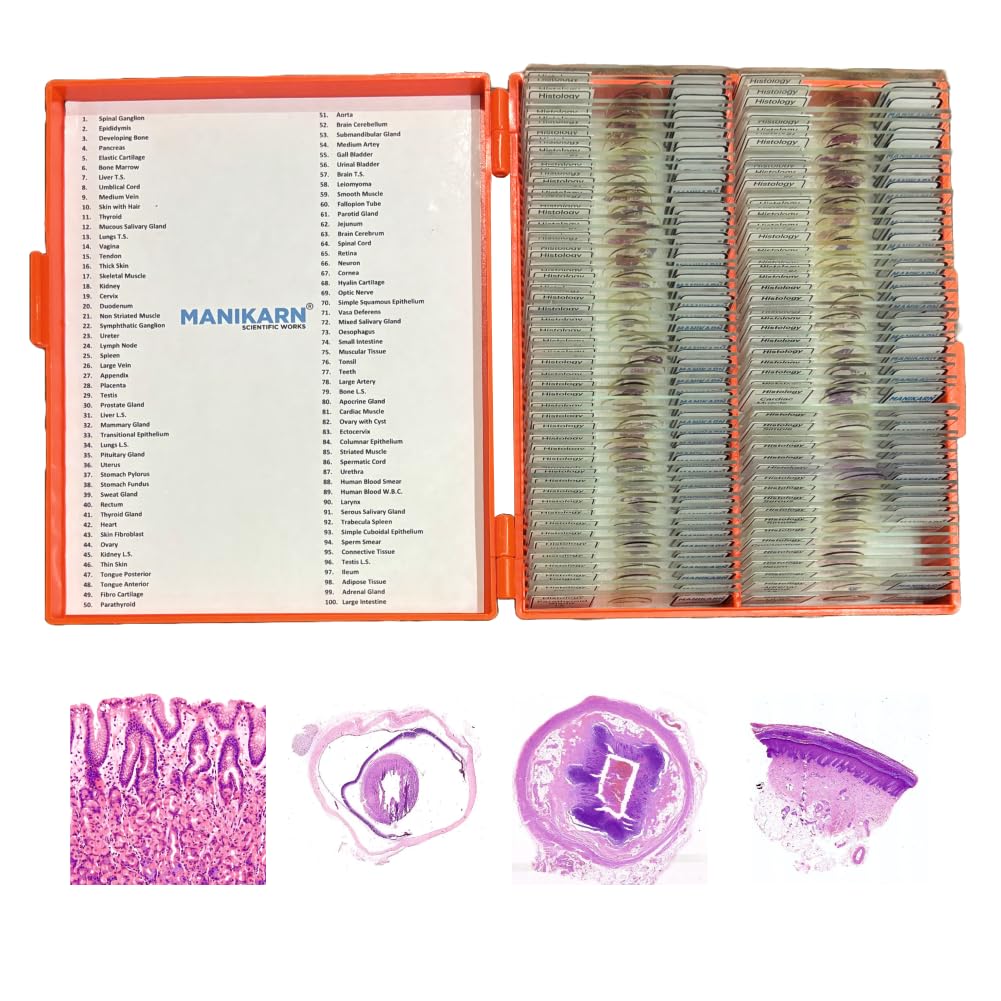 Histology Slides Human Pathology Survey Slide Set | Carolina
