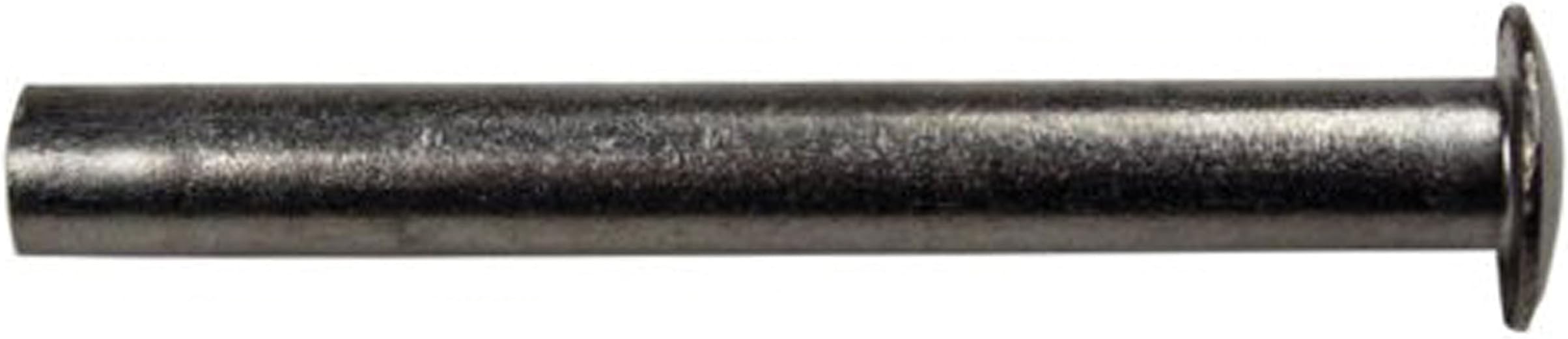 Amazon.com: Dometic 113009P10 Oscar Rivet - 3/16" x 1", Pack of 10 ...