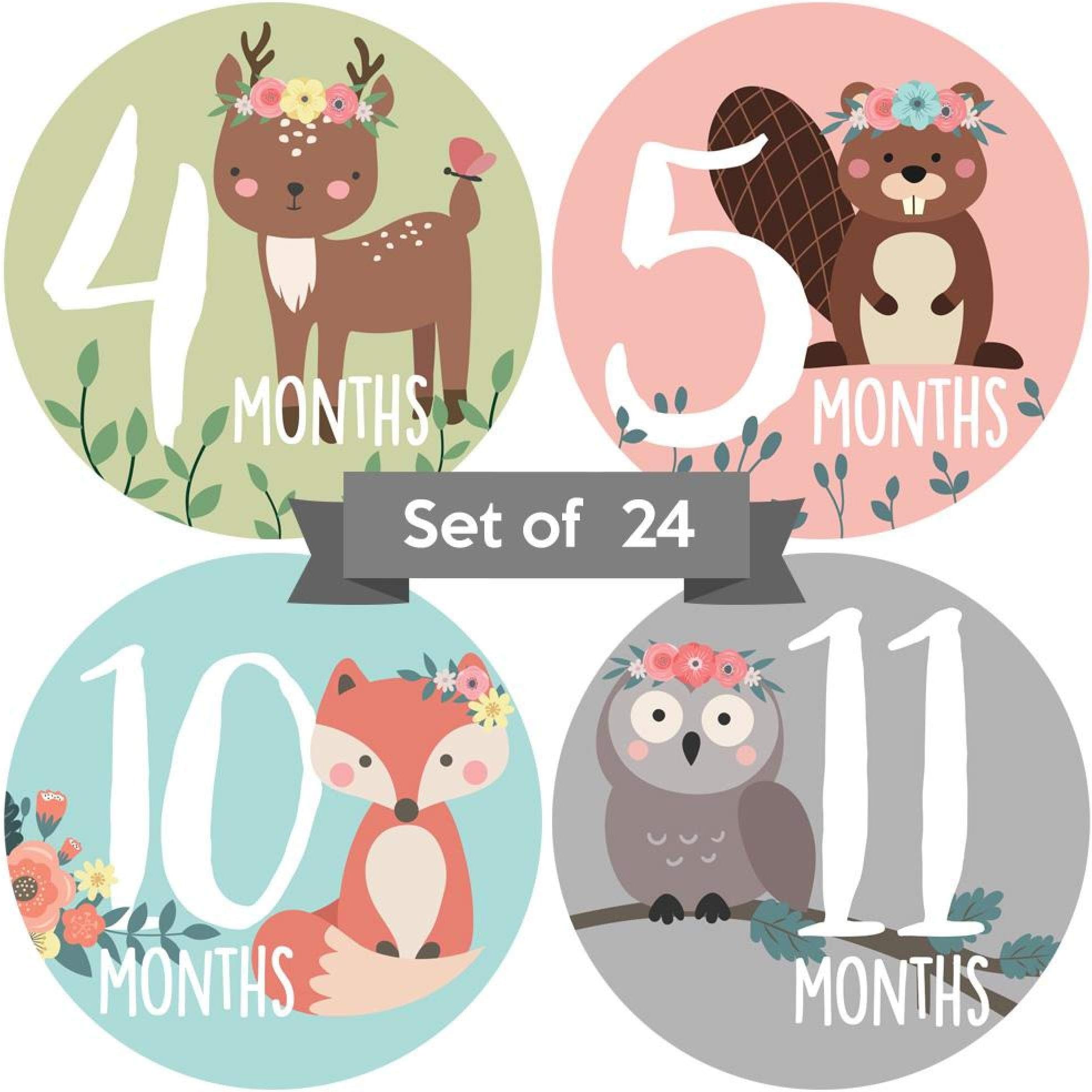 Amazon.com: Pinkie Penguin Dinosaur Baby Monthly Stickers - Milestone ...